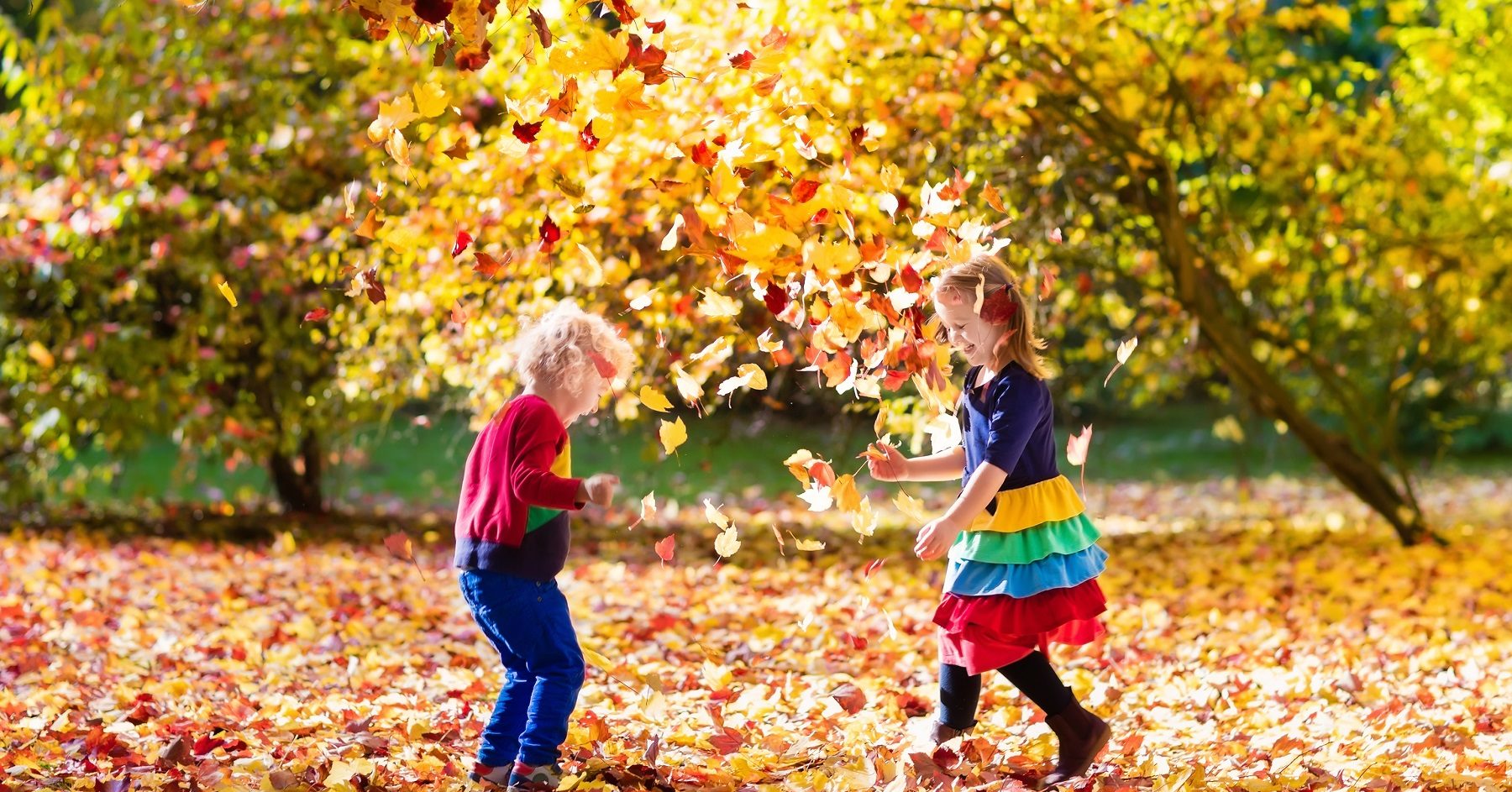 Leaf lessons: Autumn learning ideas for your young children